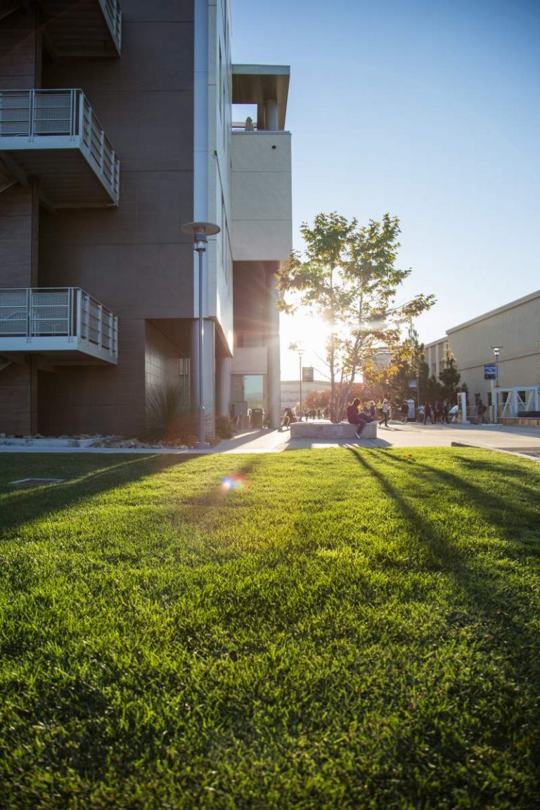 The unexpected arboretum: CSUSM benefits from sustainable approach to ...